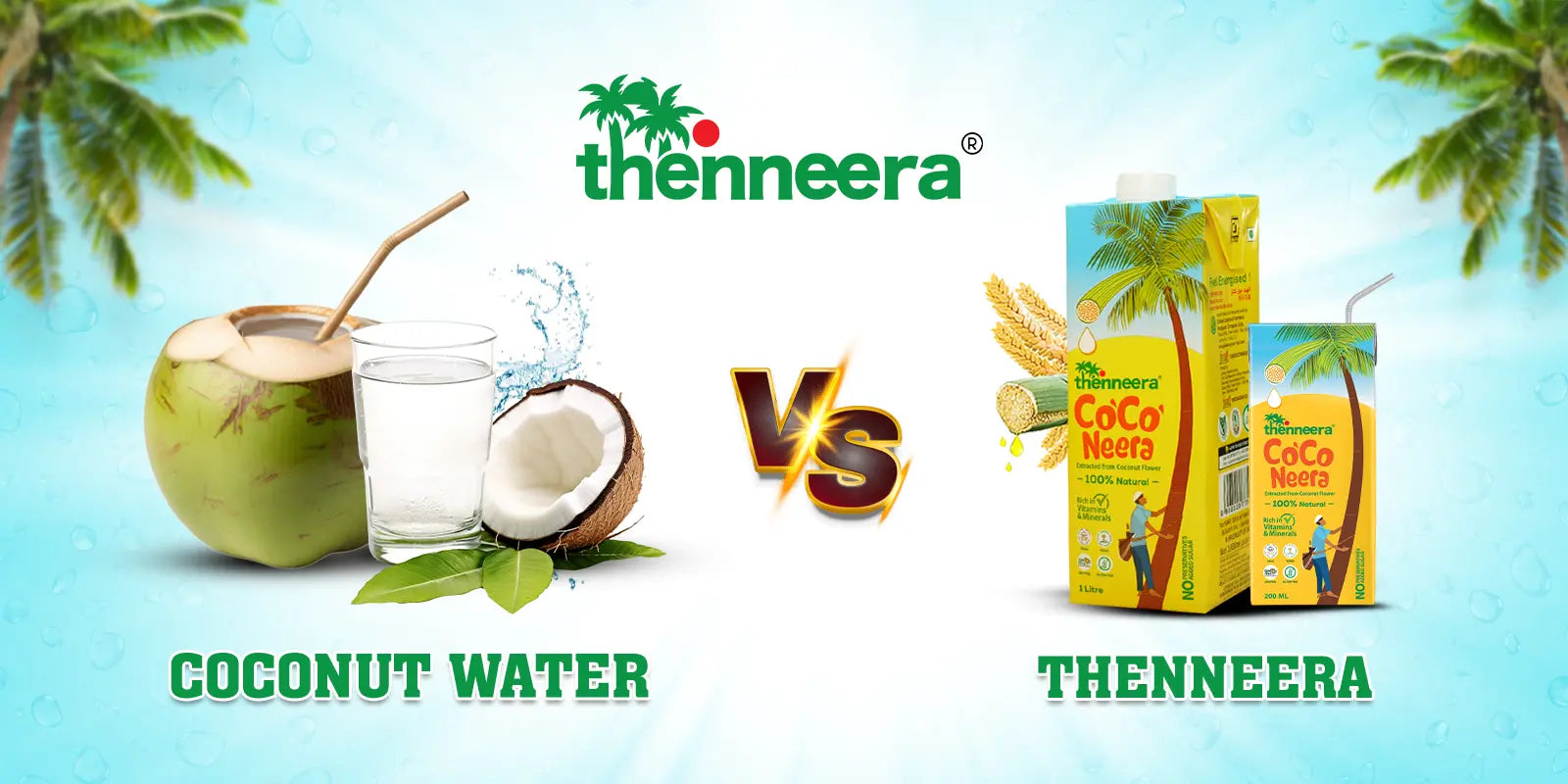 Coco Neera (Thenneera) vs Coconut Water – Which Is Healthier? – THENNEERA